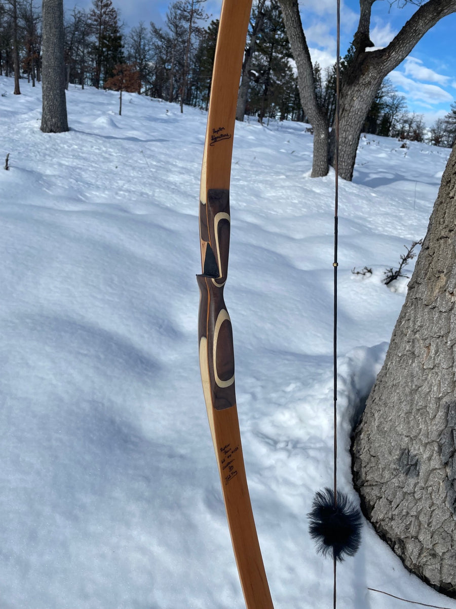 62" Raptor Signature RH 44#@28" – Raptor Archery