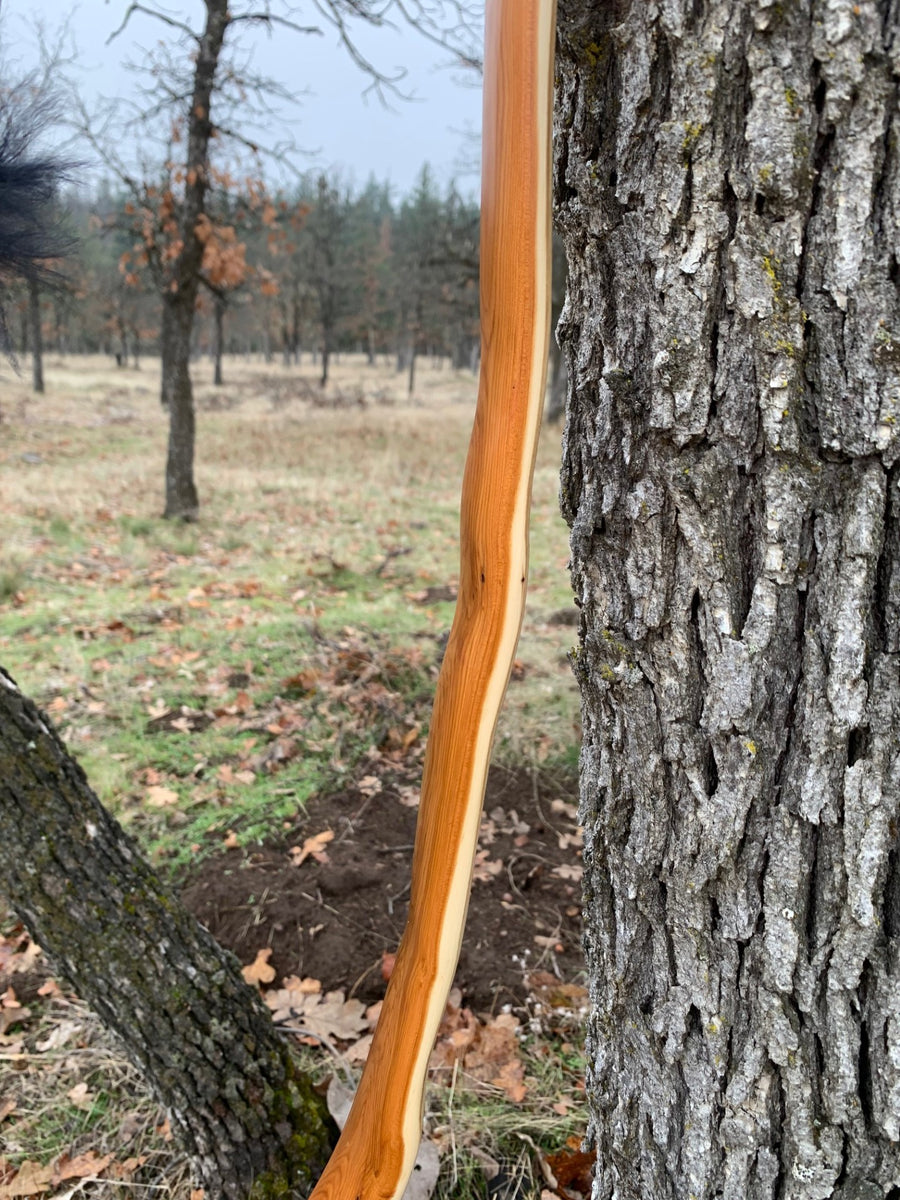 Pacific Yew longbow 47#@28" – Raptor Archery
