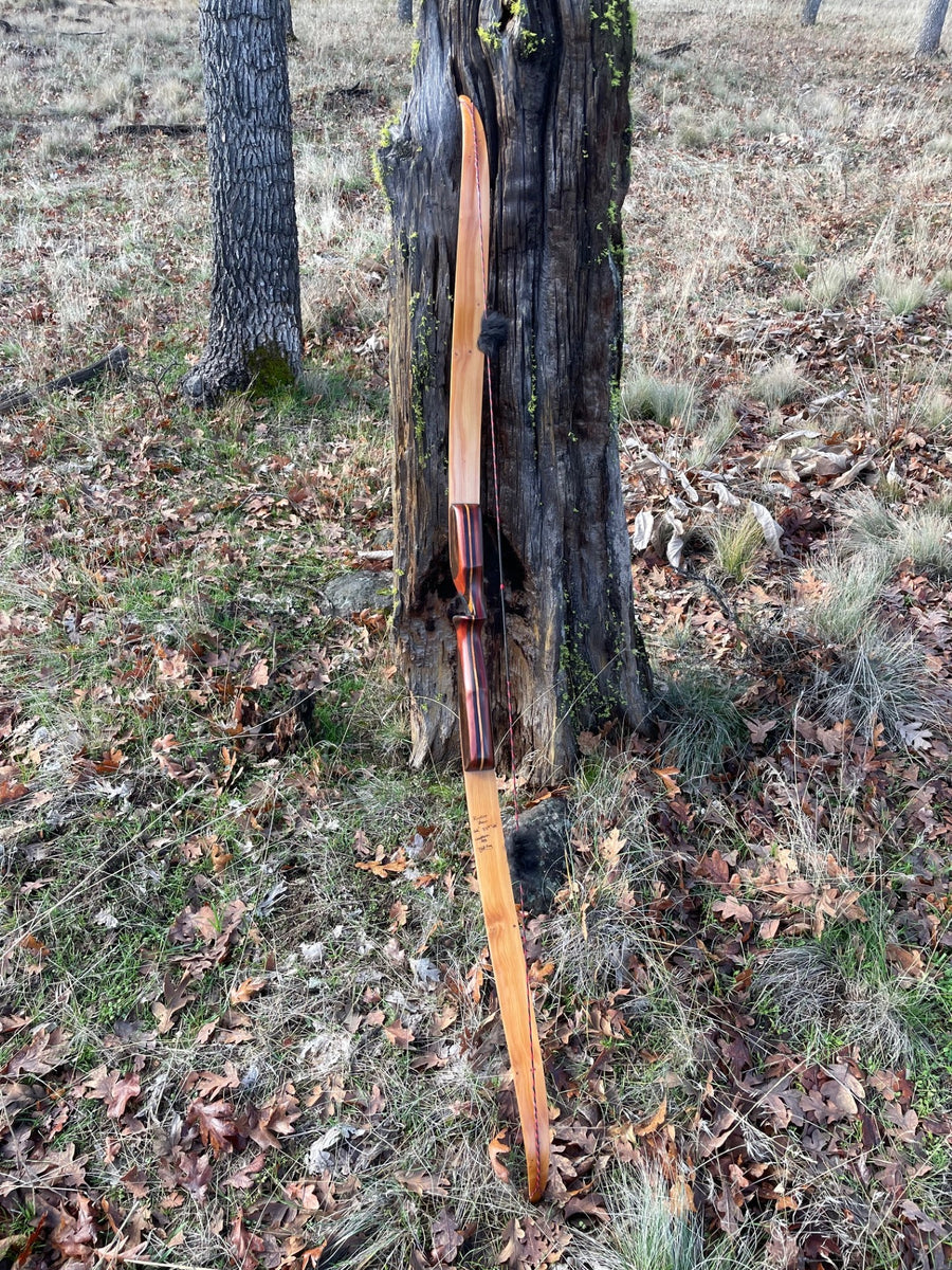 RH Raptor F22 Deluxe takedown recurve, 62" 55#@28" – Raptor Archery