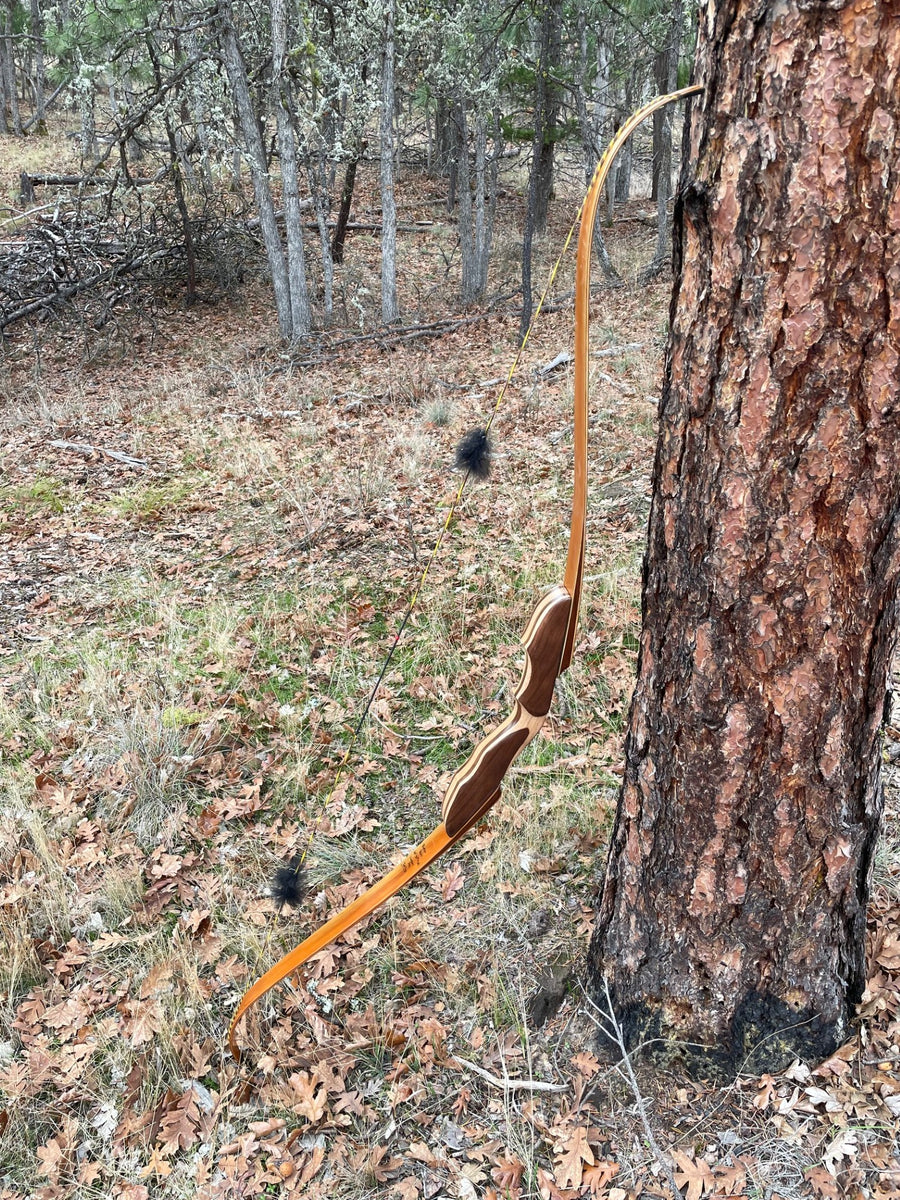 RH Raptor F22, takedown 50# – Raptor Archery